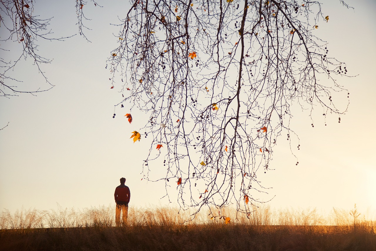 The Reason Why Showing Off Leads to Failure - All My Universe The Reason Why Showing Off Leads to Failure - All My Universe